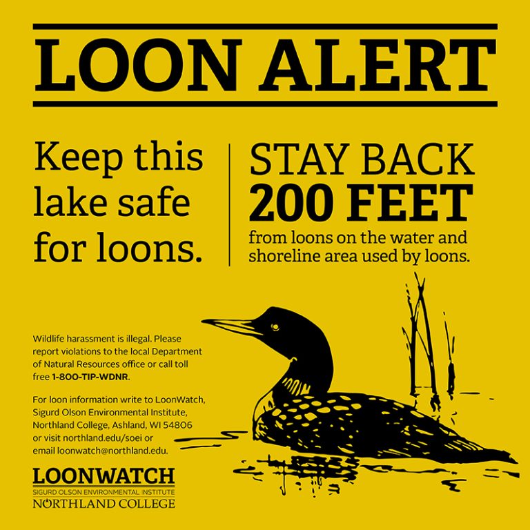 Public Boat Landings – Town Winchester